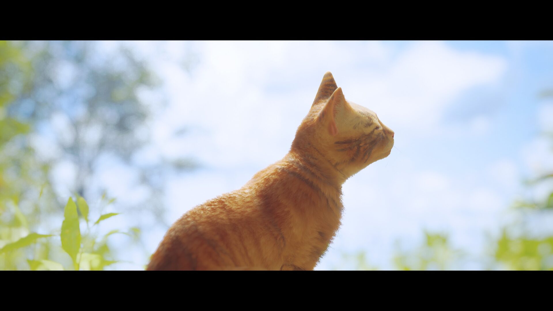 【評価レビュー】Stray（ストレイ）「猫になってサイバーシティを冒険！他の猫ゲーとは一線を画すリアルさ」 | いくらのゲーム暮らし